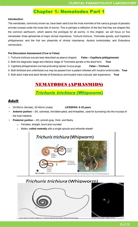 Nematodes Part 1 Pdf Lecture Notes 1 Chapter 1 Nematodes Part 1