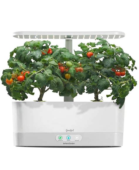 Here S Everything You Need To Know About Owning An Aerogarden Artofit