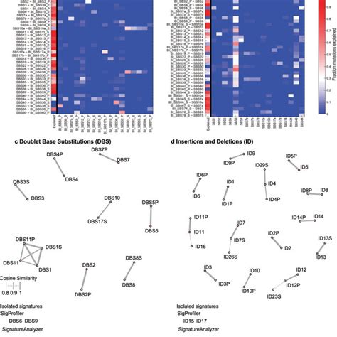 Profiles Of Sbs Dbs And Small Indel Mutational Signatures The