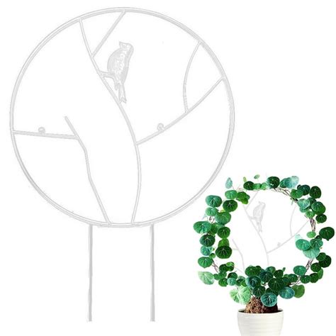 Plant Support Framevine Climbing Rack Iron Iron Vegetables Plant