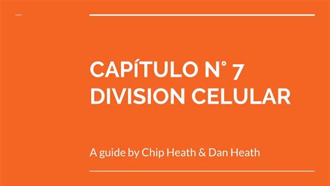 División Celular Marianne Udocz