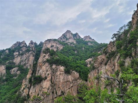설악산 6월 산행 추천 코스 소승폭포가리봉주걱봉점봉산귀때기청봉대승령상투바위골로 하산