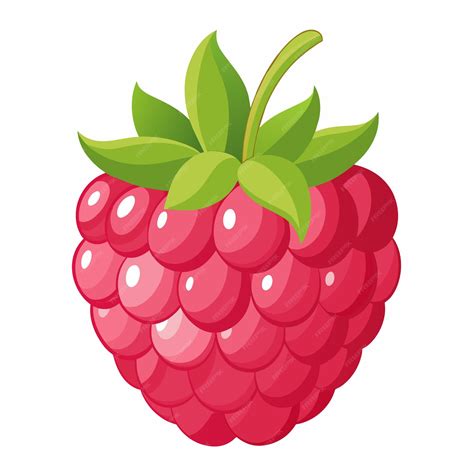 Premium Vector A Red Raspberry Vector Illustration