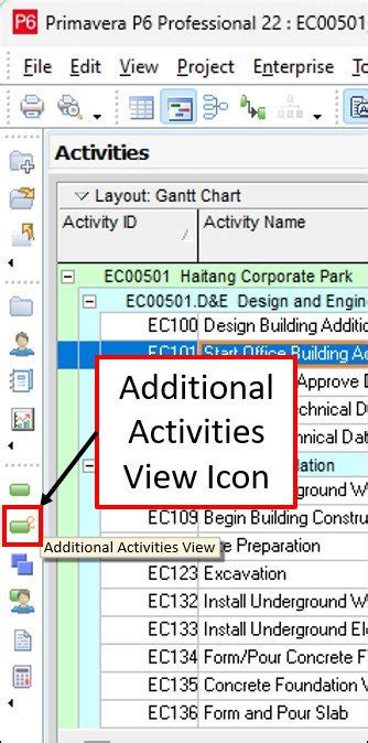 How To Open Multiple Activities Windows In Primavera P6 Professional P6 Consulting