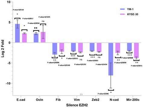 Ezh2 Silencing Led To Downregulation Of Mir 200c And Mesenchymal Genes