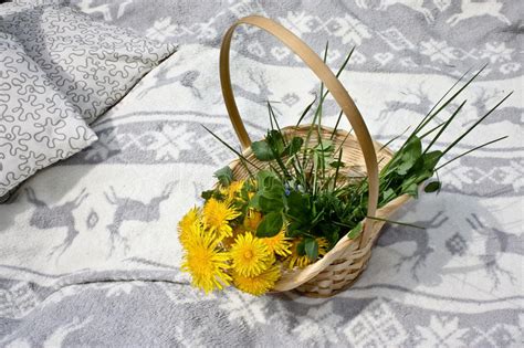 Picnic Picnic On The Grass A Blanket In Nature Stock Image Image Of