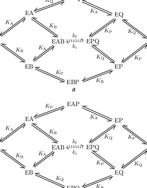 Binding Scheme Used For Deriving The Generic Equation All Binding Steps