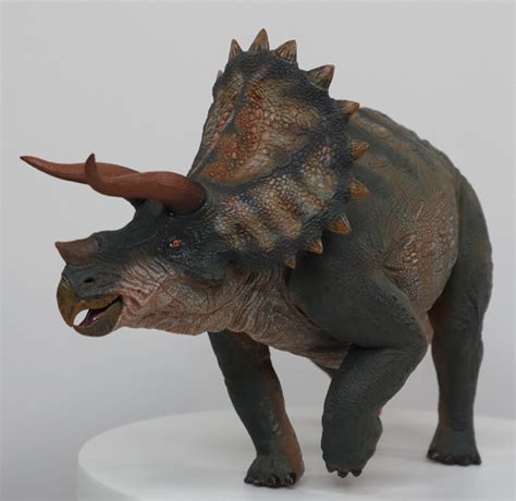 Triceratops Fossil Tooth
