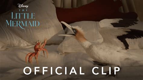 The Little Mermaid The Scuttlebutt Official Clip Youtube