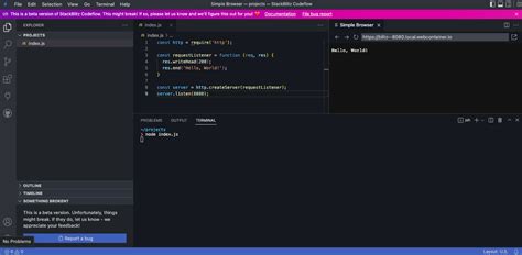 Server Started From Codeflow Does Not Run On WebContainer Issue