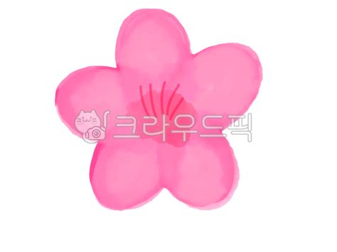 진달래 봄꽃 봄 꽃일러스트 수채화진달래 사진이미지일러스트캘리그라피 레몬쓰작가