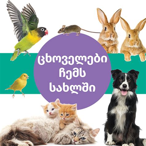 ცხოველები ჩემს სახლში