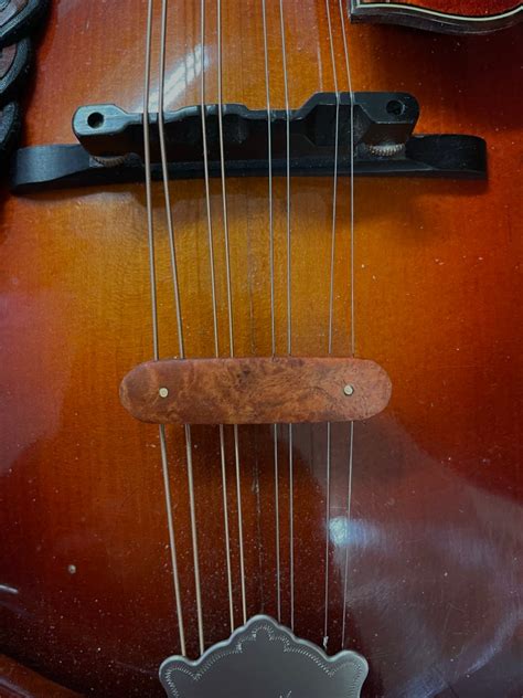 Box Elder Burl String Suppressor Hill Country Stringworks