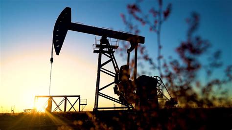 “Эрэл” сурвалжилга ПЕТРОЧАЙНА ДАЧИН ТАМСАГ Цуврал 1 Youtube