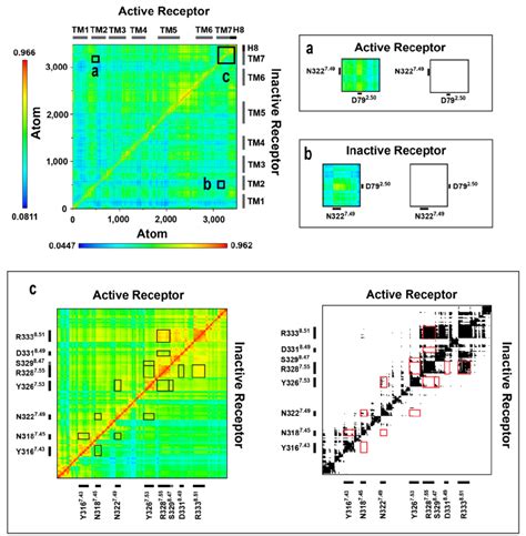 Dynamic Cross Correlation Matrices Of The Gs Protein Bound β2ar In