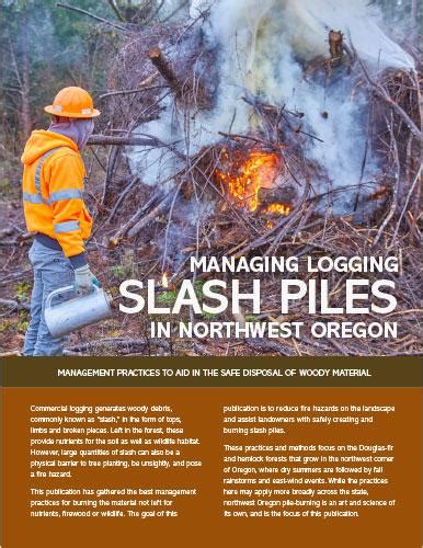 Managing Logging Slash Piles In Northwest Oregon Oregon Forest