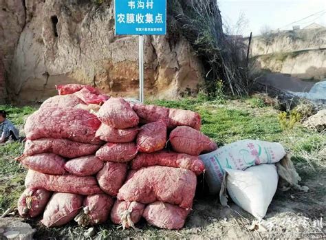 张家川县废旧农膜“以旧换新” 净化了环境高兴了农民 图 天水在线