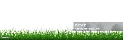 Green Grass Repeat Texture Vector Stock Illustration Download Image Now Border Frame