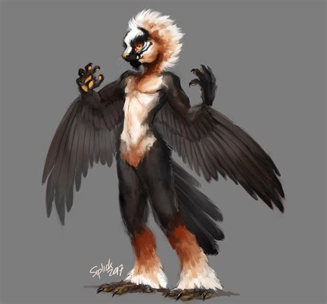 Harpy Gen By Siplick On Deviantart