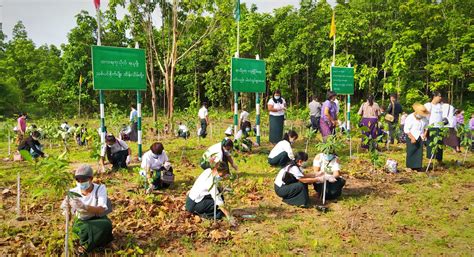 ပြည်မြို့၌ ကမ္ဘာ့ပတ်ဝန်းကျင်ထိန်းသိမ်းရေးနေ့ အထိမ်းအမှတ် မိုးရာသီသစ်ပင်စိုက်ပျိုးပွဲ ကျင်းပ