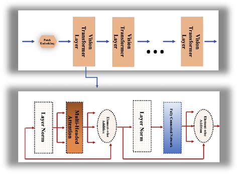 Bitr Unet A Cnn Transformer Combined Network For Mri Brain Tumor