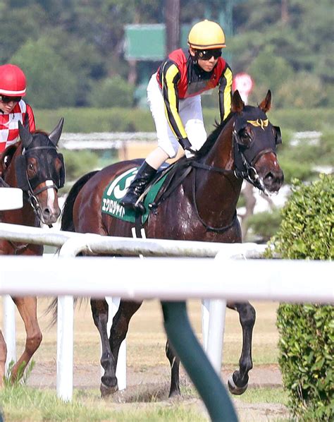 【レパードs】2番人気エクロジャイト4着 北村友一騎手は2年半ぶり重賞vならず「追ってからジリっぽくなり」 Umatoku 馬トク