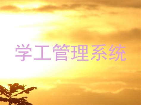 探讨学工管理系统在武汉的应用与实践 学工管理系统 融合门户