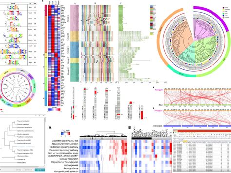 Assistance In Genome Wide Analysis Upwork