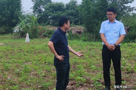 南溪区委领导王财波带队督导裴石镇撂荒地整治工作耕地保护镇村