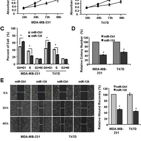Ectopic Expression Of Mir 124 Suppresses Breast Cancer Cell