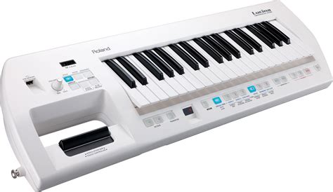 Roland Lucina AX 09 Synthesizer