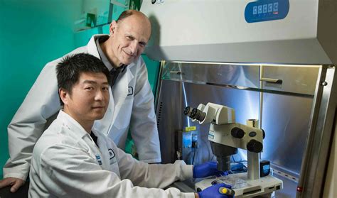 Whats The Benefit In Making Human Animal Hybrids