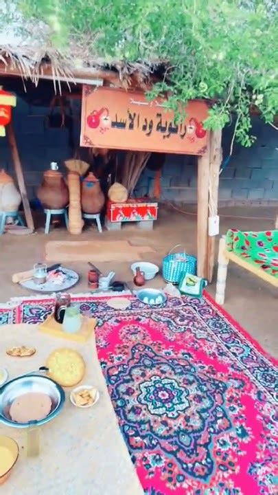 عادات وتقاليد تراث البني عامر والحباب 🤍 ️ Youtube