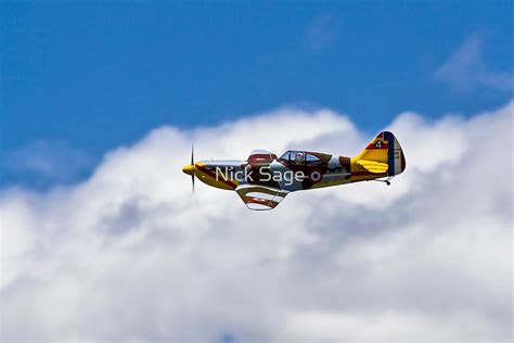 The Dewoitine D520 Model By Nick Sage Redbubble