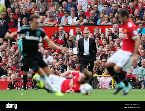 Manchester Uniteds Jose Mourinho In Action During The Premier League