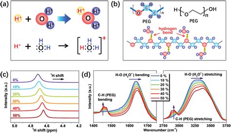 Hydronium Ion