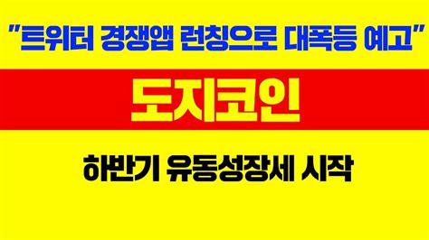 도지코인 트위터 경쟁앱 런칭으로 대폭등 예고 하반기 유동성장세 시작 Youtube