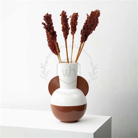 Buy Sorghum Dried Grass Brown Onlinewhispering Homes