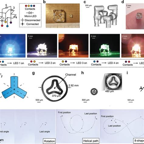 The Shrinking Behavior Of 3d Printed Scaffolds A Optical Microscope Download Scientific