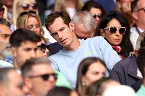 Tennis Fans Split On Andy Murray After Wimbledon As Carlos Alcaraz
