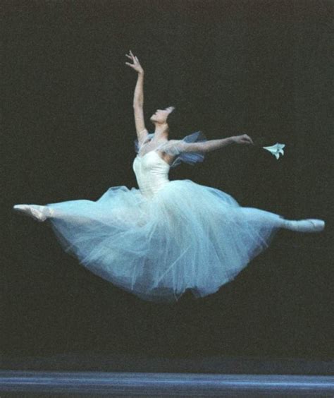 발레리나의 스커트 튀튀 이야기 네이버 블로그