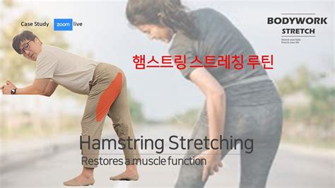 햄스트링 스트레칭 루틴 Youtube