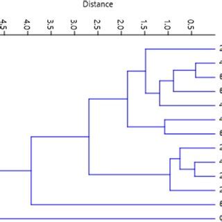 Dendrogram Of Hierarchical Cluster Analysis Based On Squared Euclidean