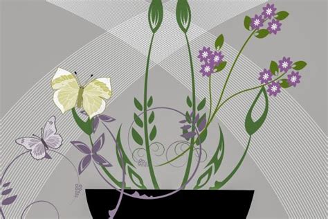 Maîtriser Lart De Laneth Cultivez Et Entretenez Cette Herbe Aromatique