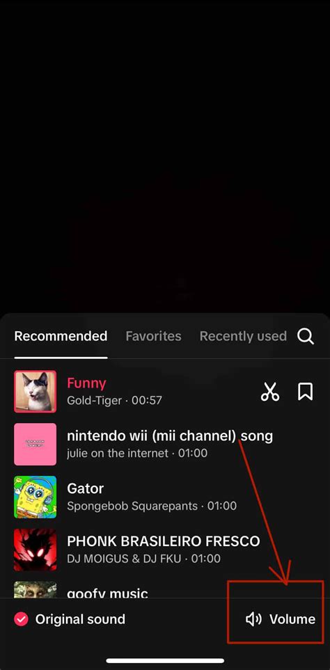 How To Add Music To TikTok Video