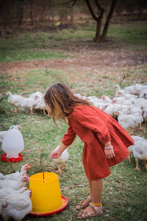 Nairobi National Park Lunch And Farm Tour At Ololo Lodge Samsons Safaris