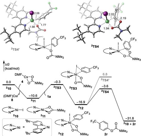 Table 1 From Photochemically Driven Nickel Catalyzed Carboxylative Buchwald Hartwig Amination