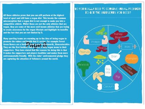 Powerpoint Of Leaflet PPT