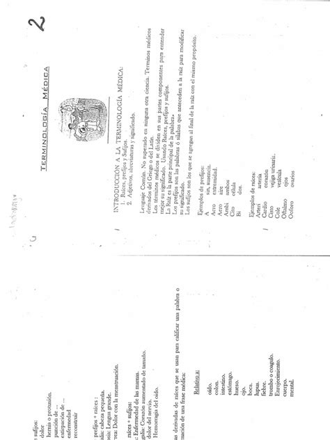 Terminología Medica 2 Pdf