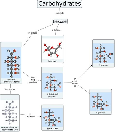 Carbohydrate Practical Molecules Of Life